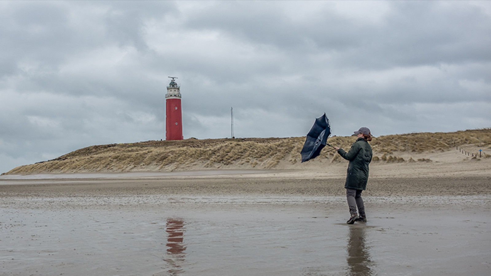 LIVEBLOG (1): Hoogtepunt van de storm eind van de ochtend in Noord ... LIVEBLOG (1): Hoogtepunt van de storm eind van de ochtend in Noord ...