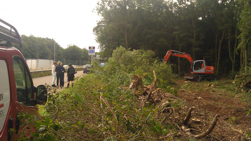 Bomen kappen voor aanleg natuurbrug over A1 - NH Nieuws