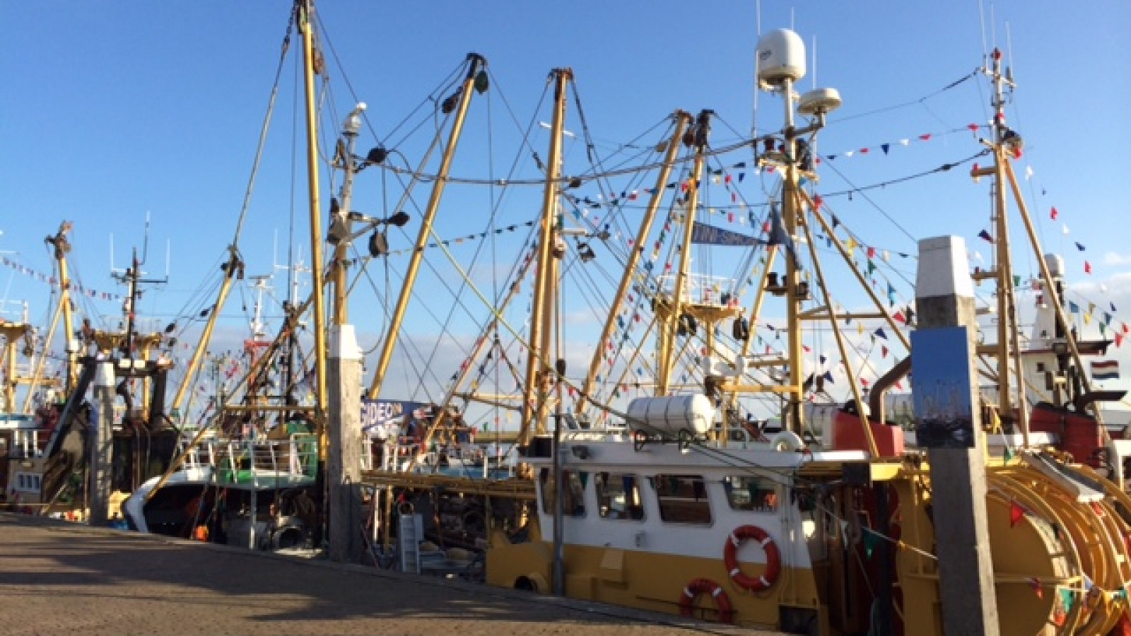 Vis eten, varen en feesten tijdens Flora- en Visserijdagen Den Oever ...