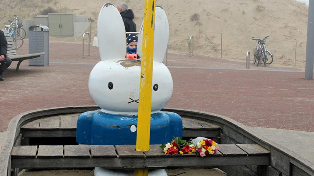 Egmond aan Zee moet het even doen zonder 'hun konijn': Nijntje Pluis ...