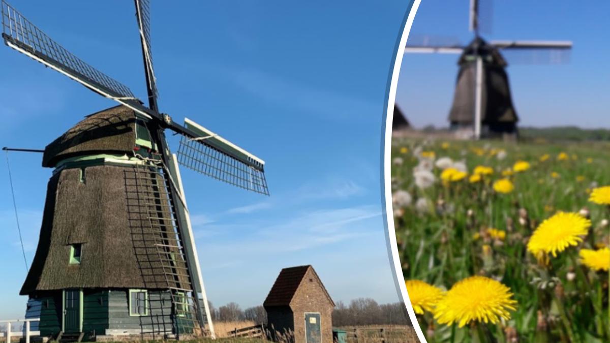 Miljonair Siem Kat kan voorlopig naar Philisteinse Molen fluiten