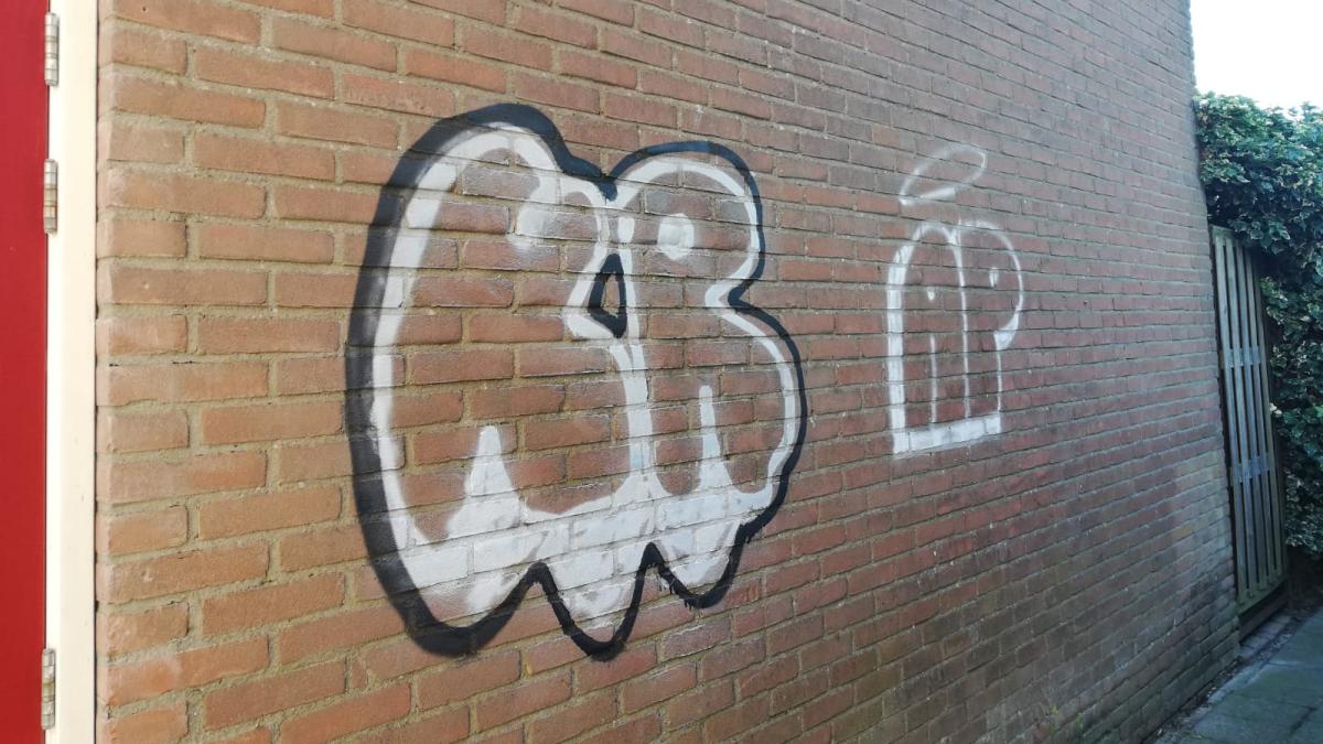 Politie Hoorn zoekt opnieuw naar getuigen van graffitispuiter van de ...