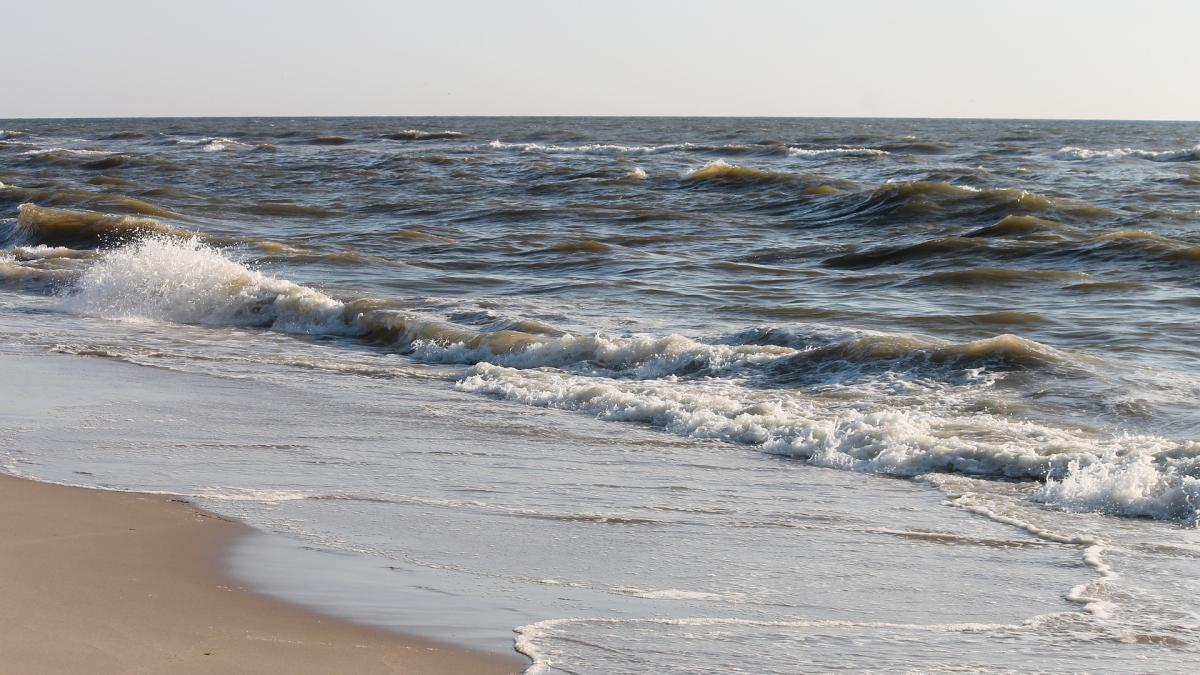 Vissers vinden lichaam van vermiste Dirk op zeebodem - NH Nieuws Vissers vinden lichaam van vermiste Dirk op zeebodem - NH Nieuws