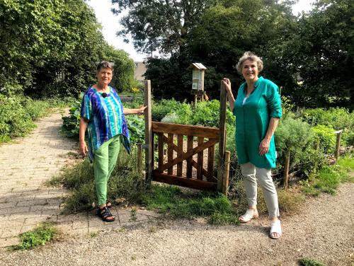 Theekruidentuin groene verbinding voor inwoners Risdam-Noord - NH Nieuws