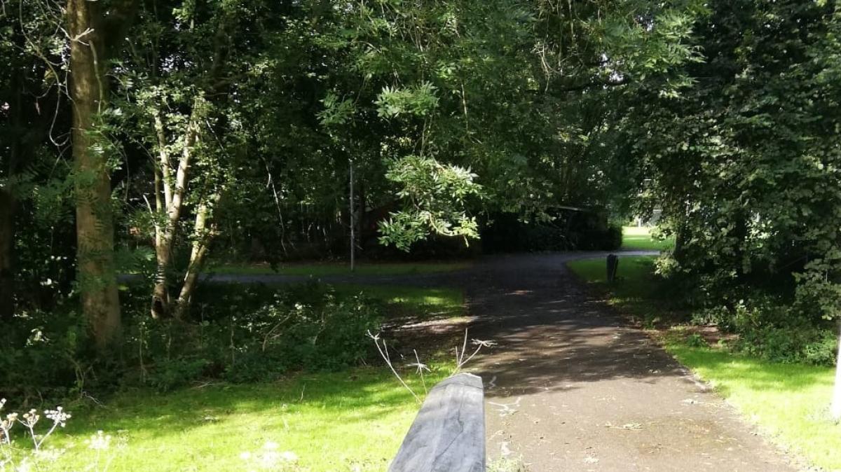 Bewoners Risdam-Noord strijdvaardig: park moet niet plaatsmaken voor ...