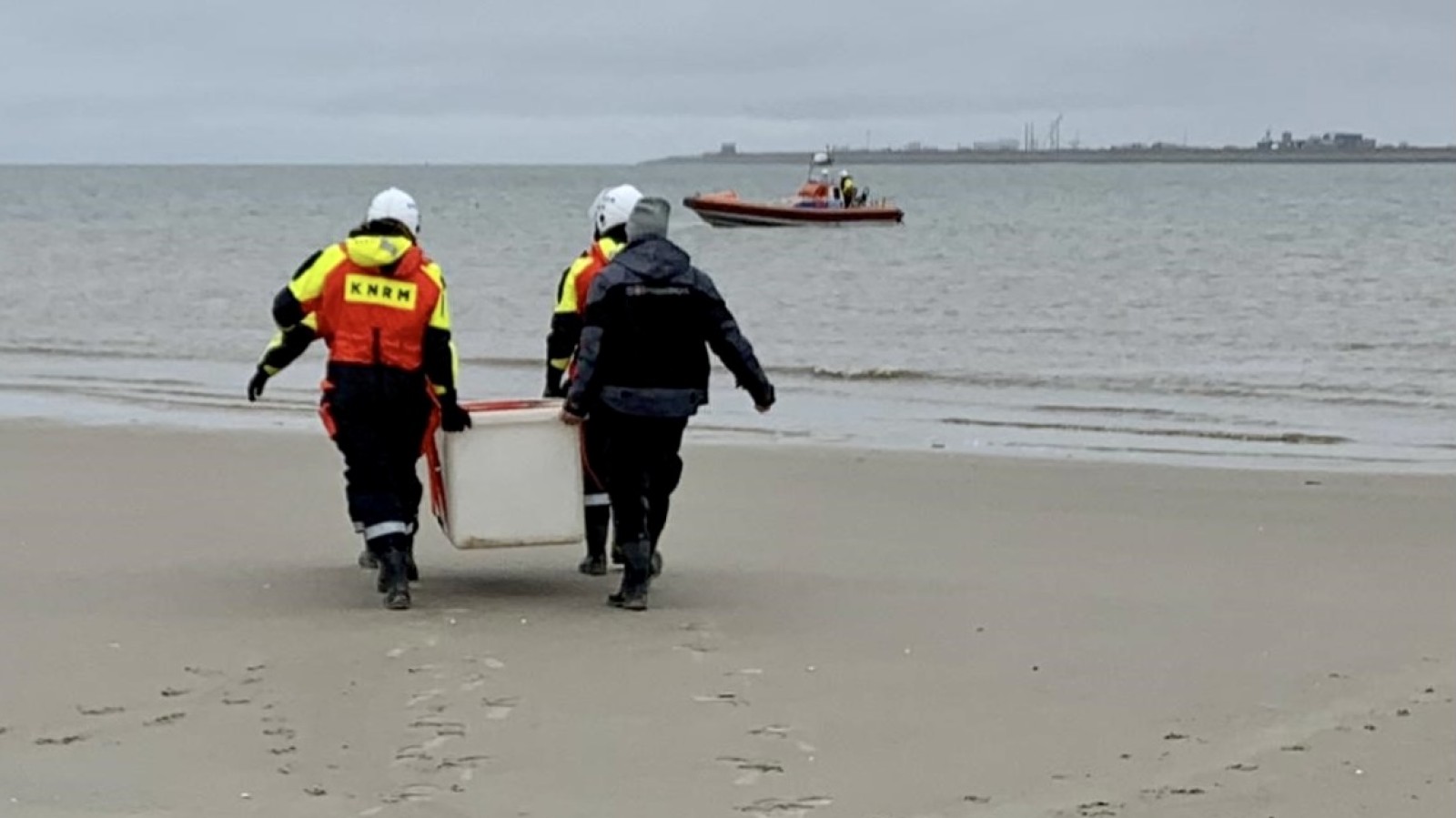 Grijze zeehond verstrikt in visnet: strandvonder en KNRM schieten te ... Grijze zeehond verstrikt in visnet: strandvonder en KNRM schieten te ...