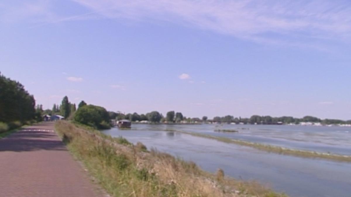 Ringslangen profiteren van herstel oevers Diemerzeedijk in Amsterdam ...