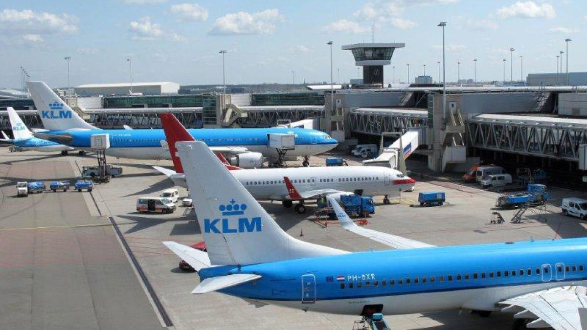 Vier zangvogels gevonden in bagageruimte van vliegtuig - NH Nieuws