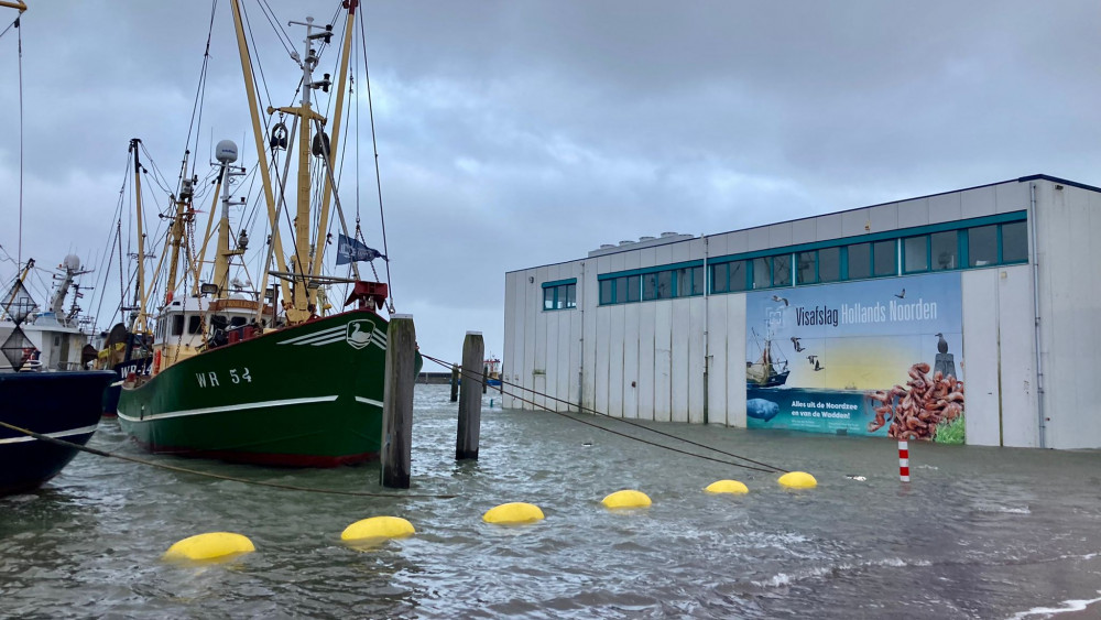 Havens Noordkop Zetten Zich Schrap Voor Windkracht 12 Kom Niet Je