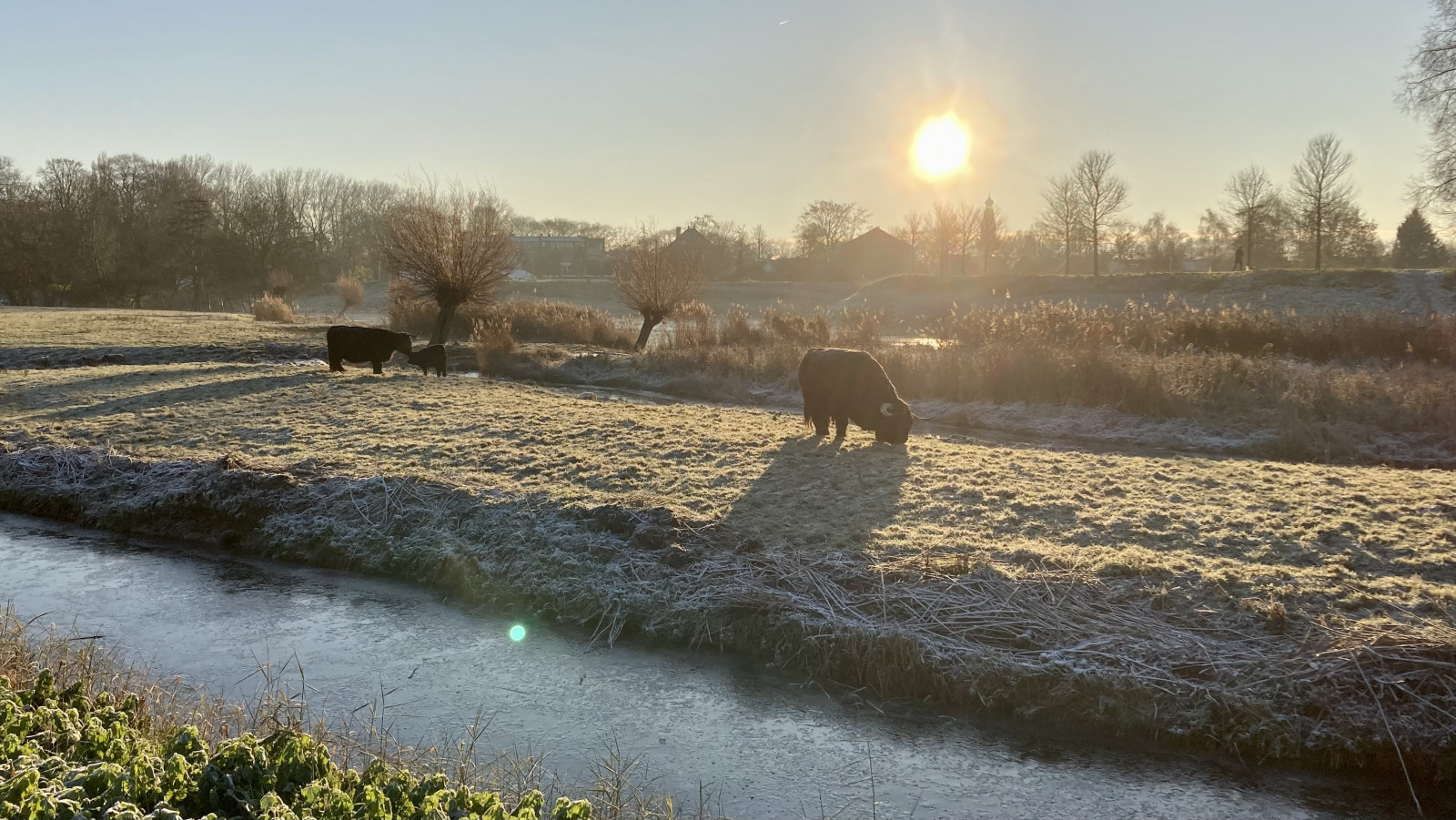 West-Fries geniet van winters landschap: "Het is vandaag fantastisch ...