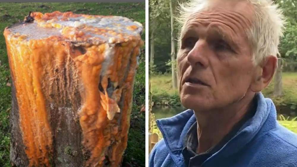 Nieuws Hoofddorp | Het laatste nieuws!