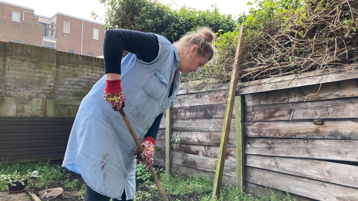 Handjes uit de mouwen: jubilerend BUUV knapt tuinen in Haarlem en ...