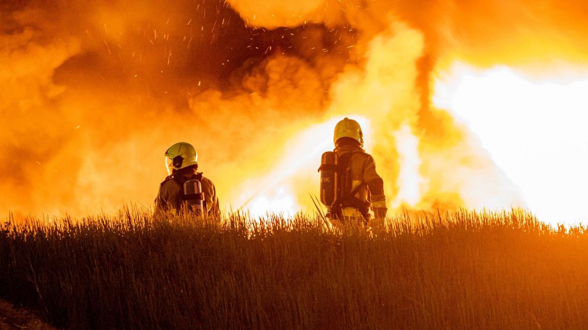 Oorzaak brand Bloomingdale niet te achterhalen: "Geen sprake van brandstichting" - NH Nieuws