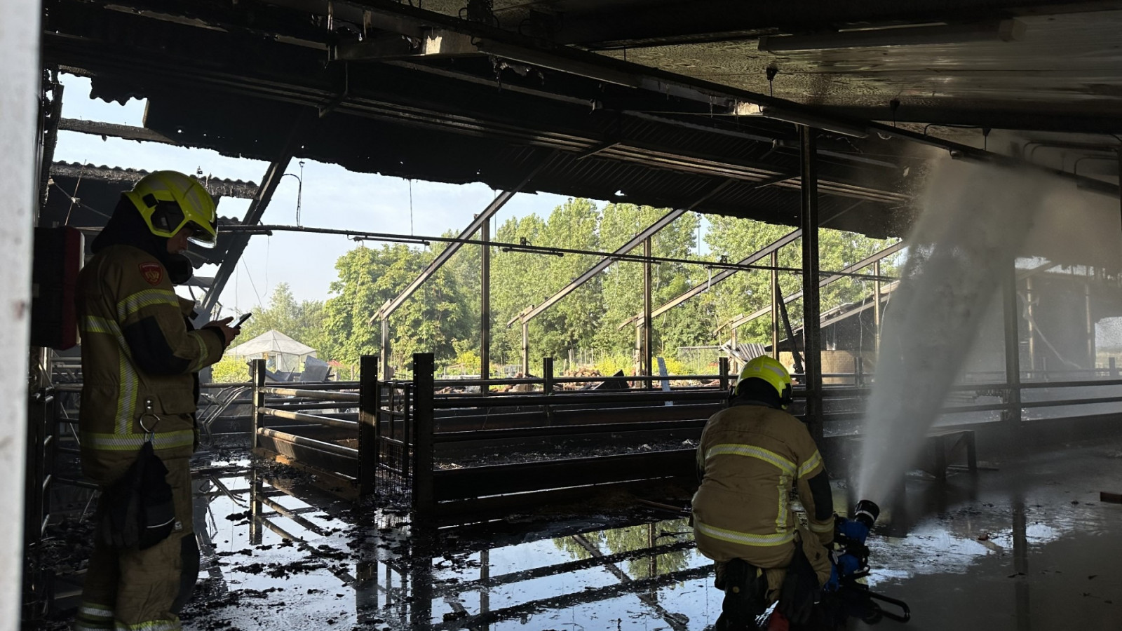 Verslagenheid compleet bij zorgboerderij na verwoestende brand - NH Nieuws
