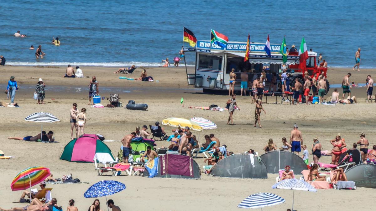 Met z'n allen naar zee: bekijk hier hoe druk het is op de Noord ...