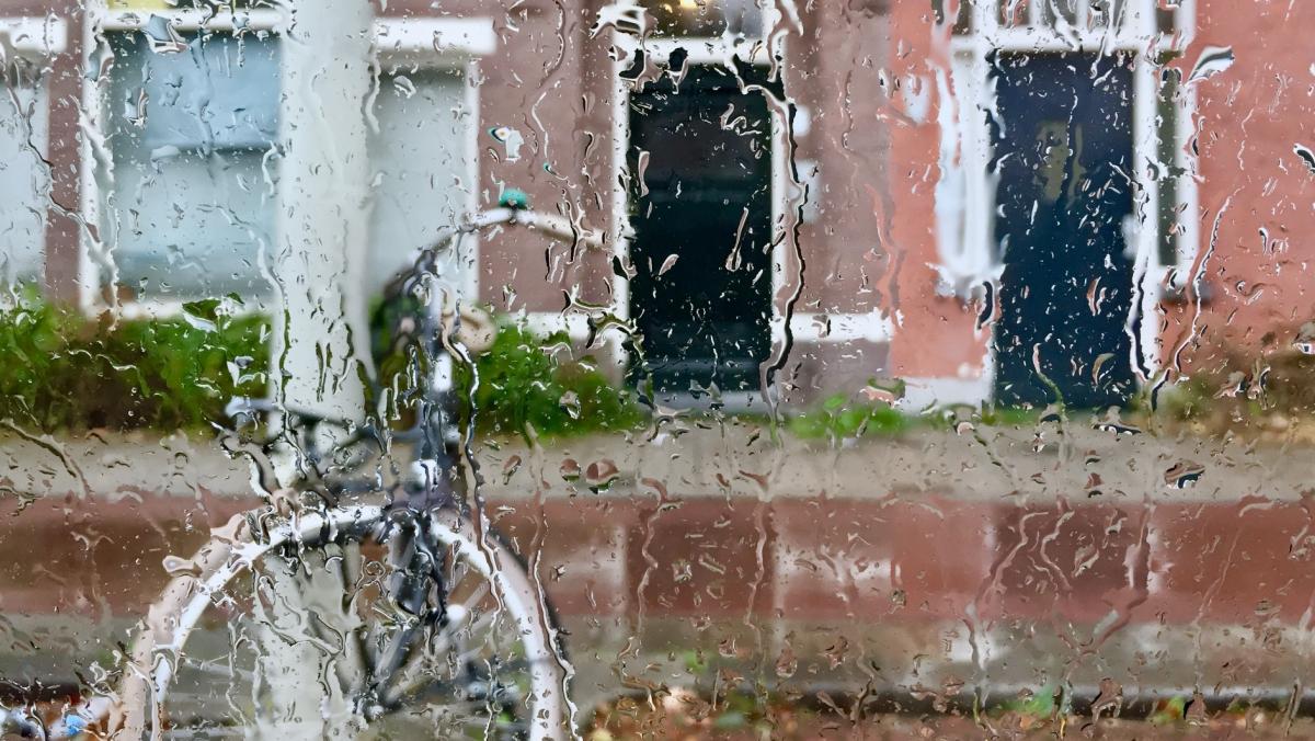 Veel regen, volgende week weer opvallend zachte temperaturen - NH Nieuws