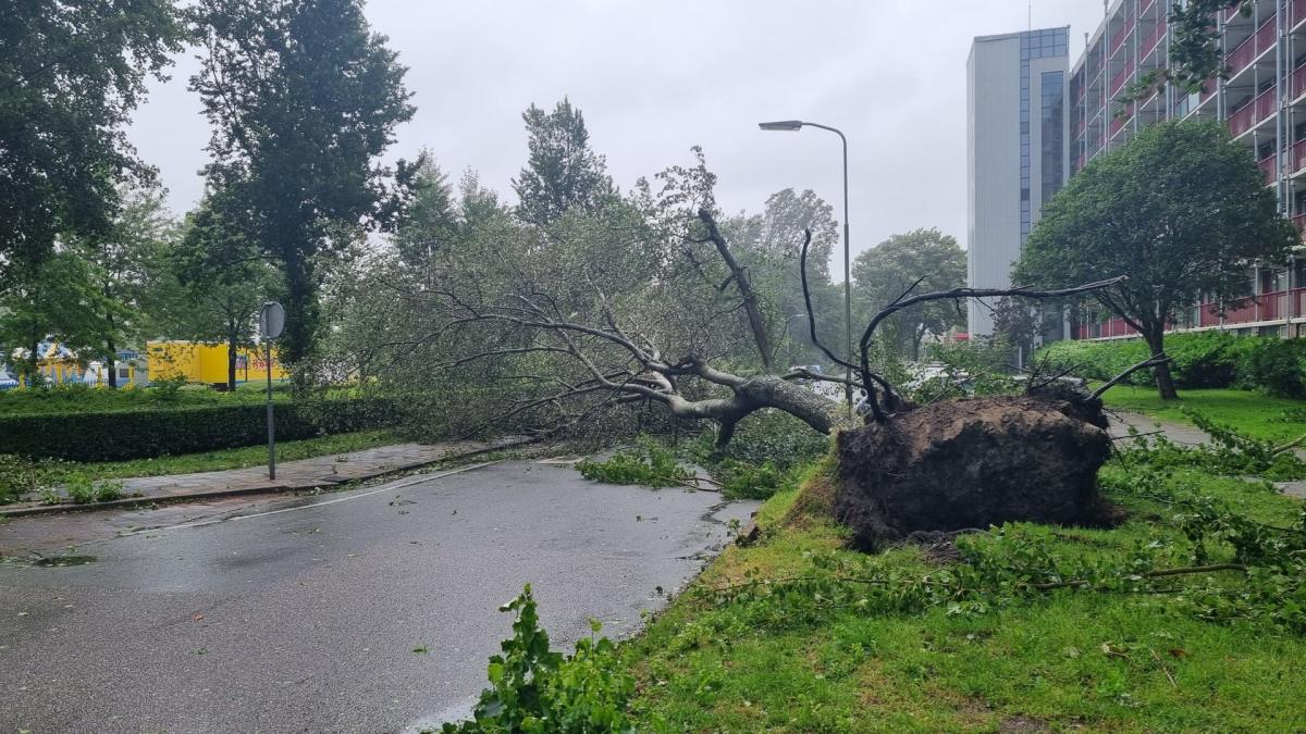 Liveblog: veel stormschade in IJmond door Poly - NH Nieuws