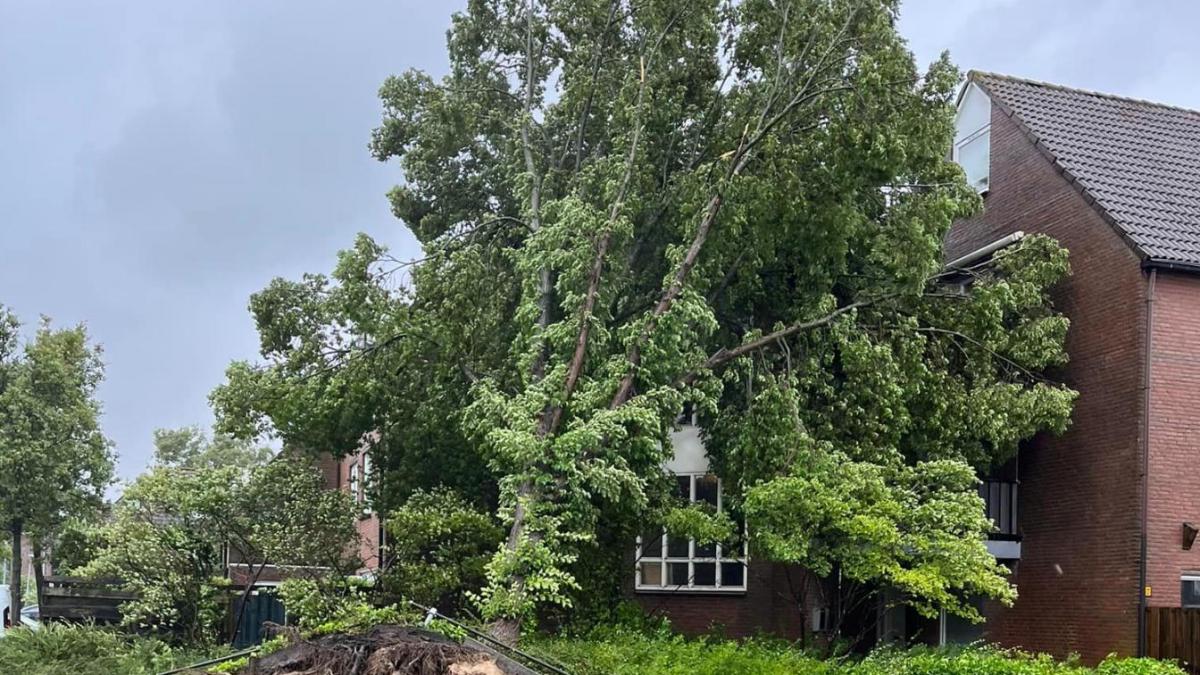 In beeld: storm Poly raast door Amstelland en Haarlemmermeer - NH Nieuws