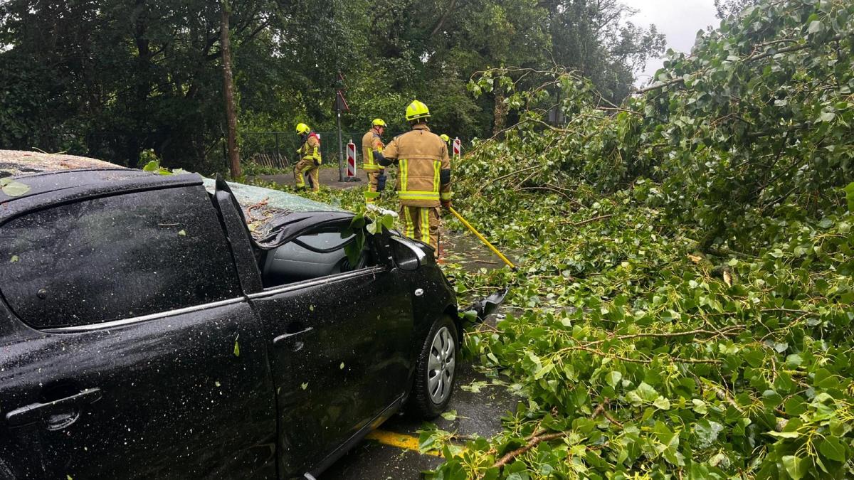 Storm eist leven: vrouw overleden na boom op auto