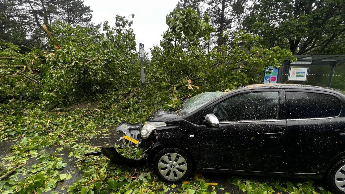 Dode en grote schade in Haarlem en omstreken door zwaarste zomerstorm ooit