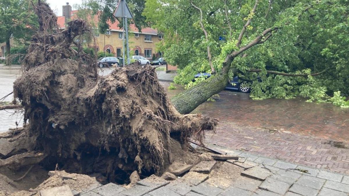 Duizenden huishoudens zonder stroom door storm Poly - NH Nieuws