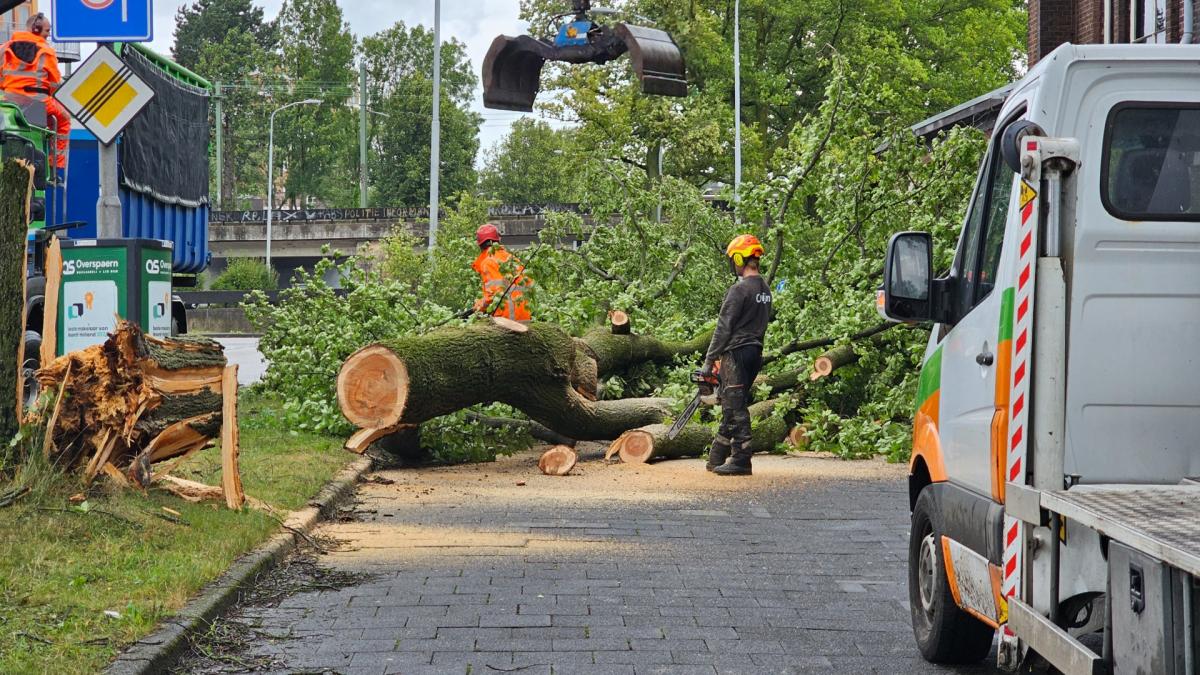 Kettingzagen en veegmachines: Haarlem begint aan het grote opruimen na ...
