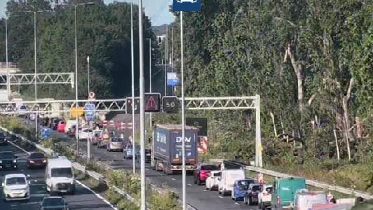 A9 volledig vast door achtergebleven takken na storm Poly