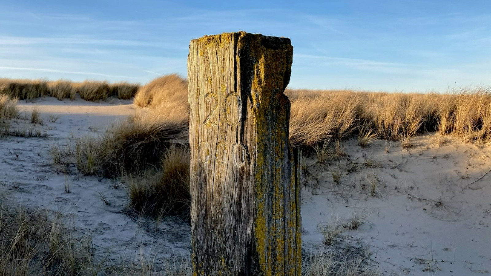 Vergeten erfgoed aan zee: Martijns fotografische ode aan onze ...