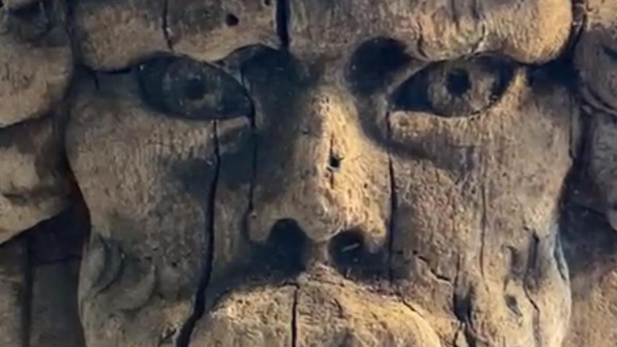 'Barry is bijna back!' Zoektocht naar een goede vitrine voor eeuwenoude ...