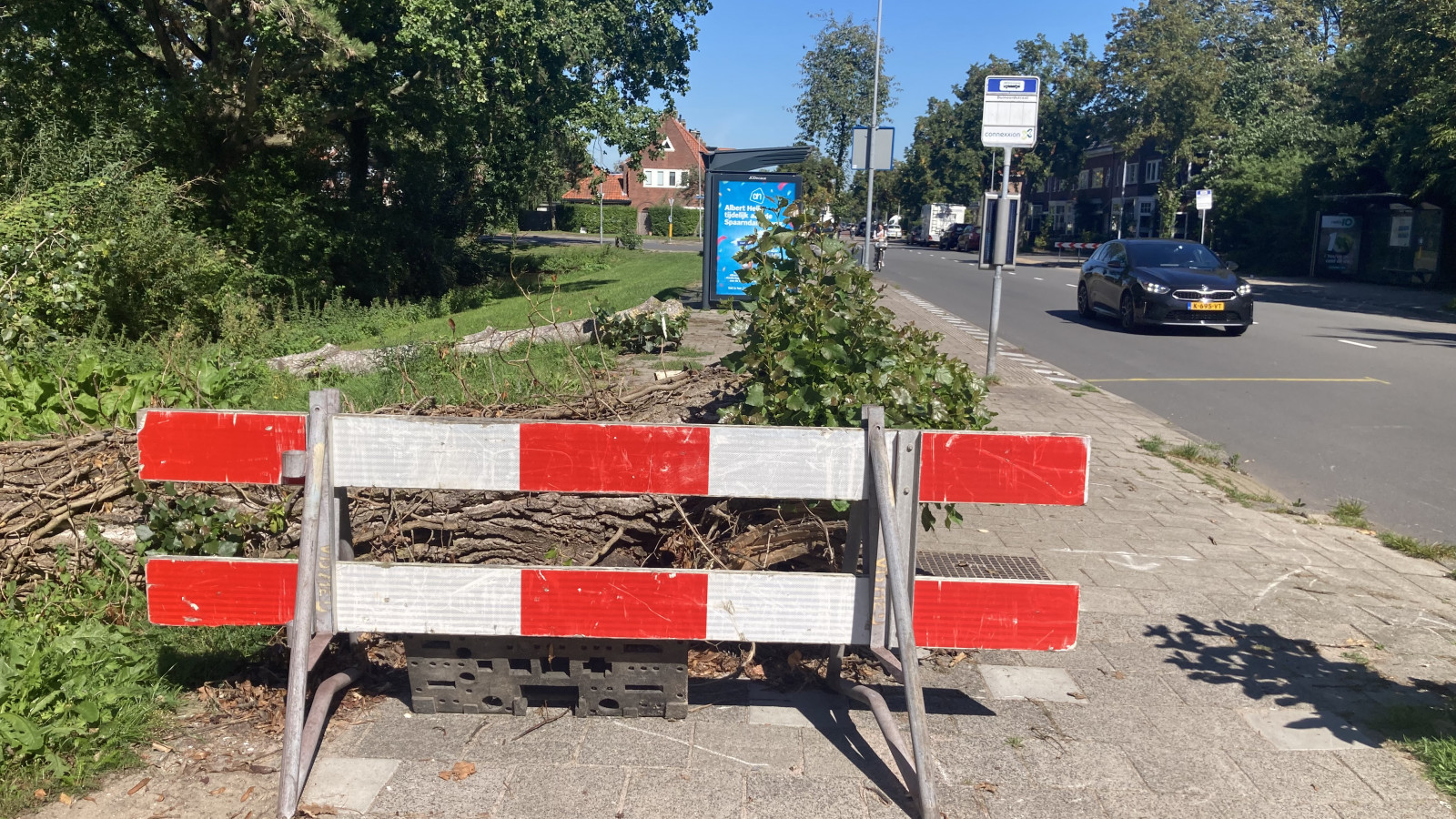Haarlemse Molijnstraat nog hindernisbaan na storm Poly, maar snel weer ...