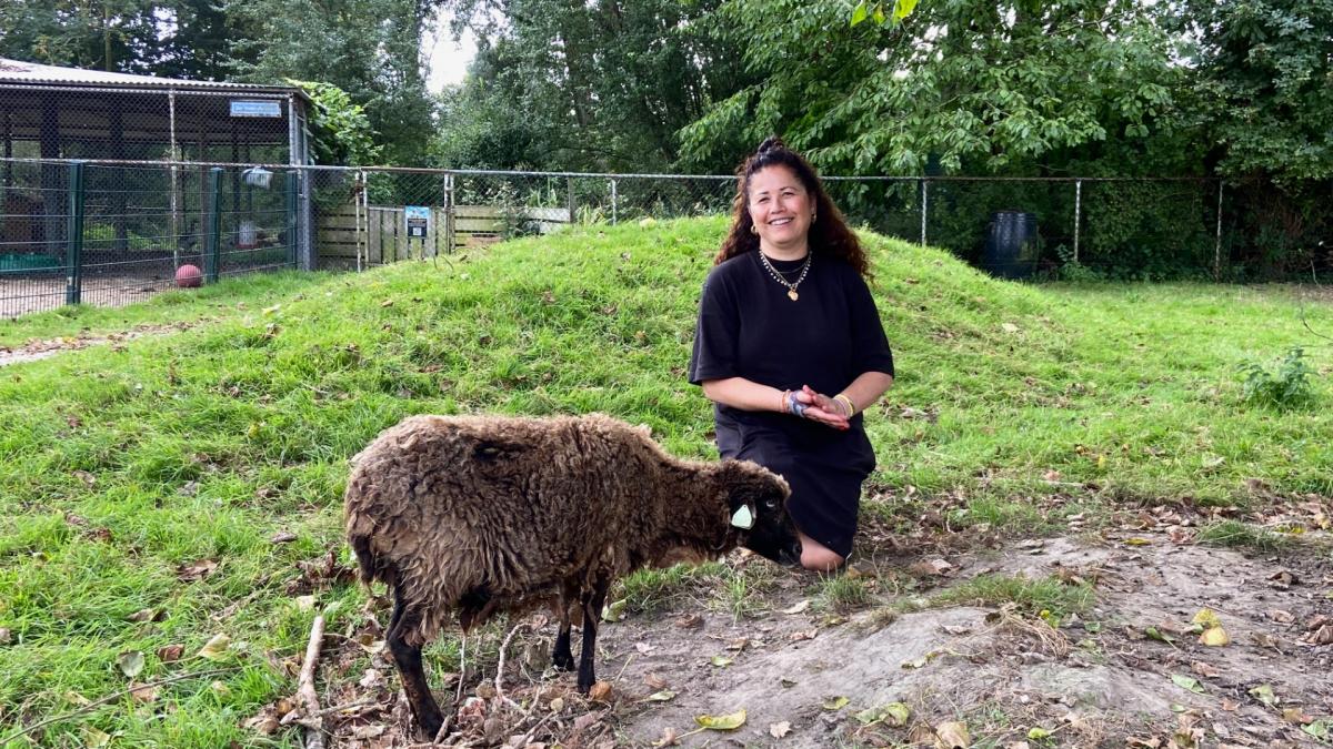 Aaien verboden! Keurmerk diervriendelijkheid voor kinderboerderij Zuid ...