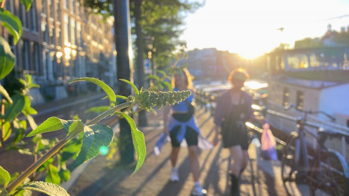 Zomers weekend met af en toe een bui, maandag nog warmer - NH Nieuws