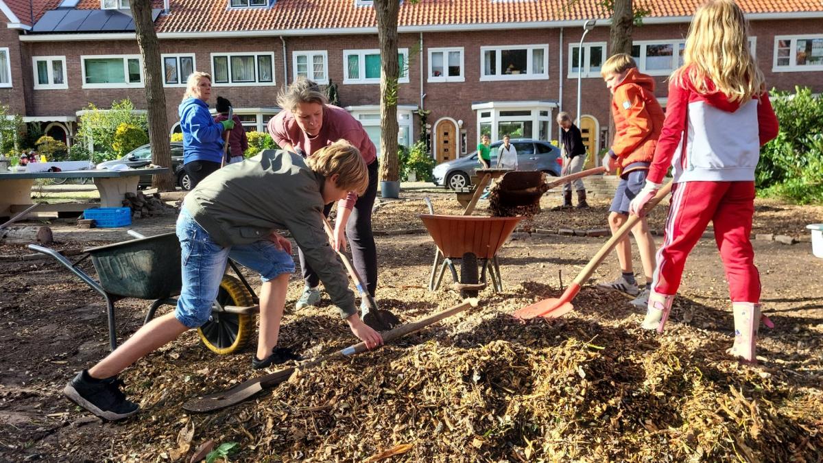 Haarlemmers nemen saaie plantsoenen over en laten hun groene vingers ...