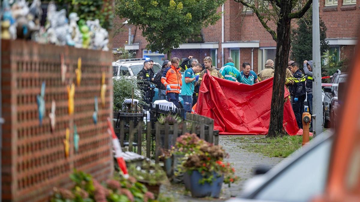 Bewoners Amsterdam-Noord over dodelijke steekpartij: Bewoners Amsterdam-Noord over dodelijke steekpartij: