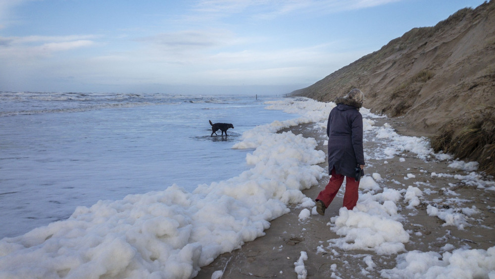 Tijd voor een zwemverbod? Toxicoloog maakt zich zorgen om PFAS in zeeschuim - NH Nieuws