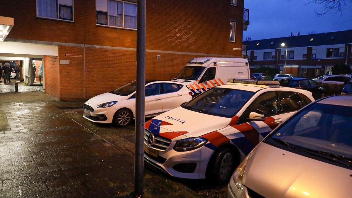 Acht jaar cel en tbs geëist tegen vrouw (63) die partner zou hebben doodgestoken in Diemen - NH ...