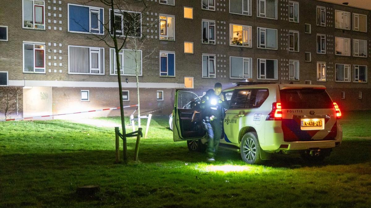 Dode na steekpartij Velsen-Noord, verdachte (34) opgepakt - NH Nieuws