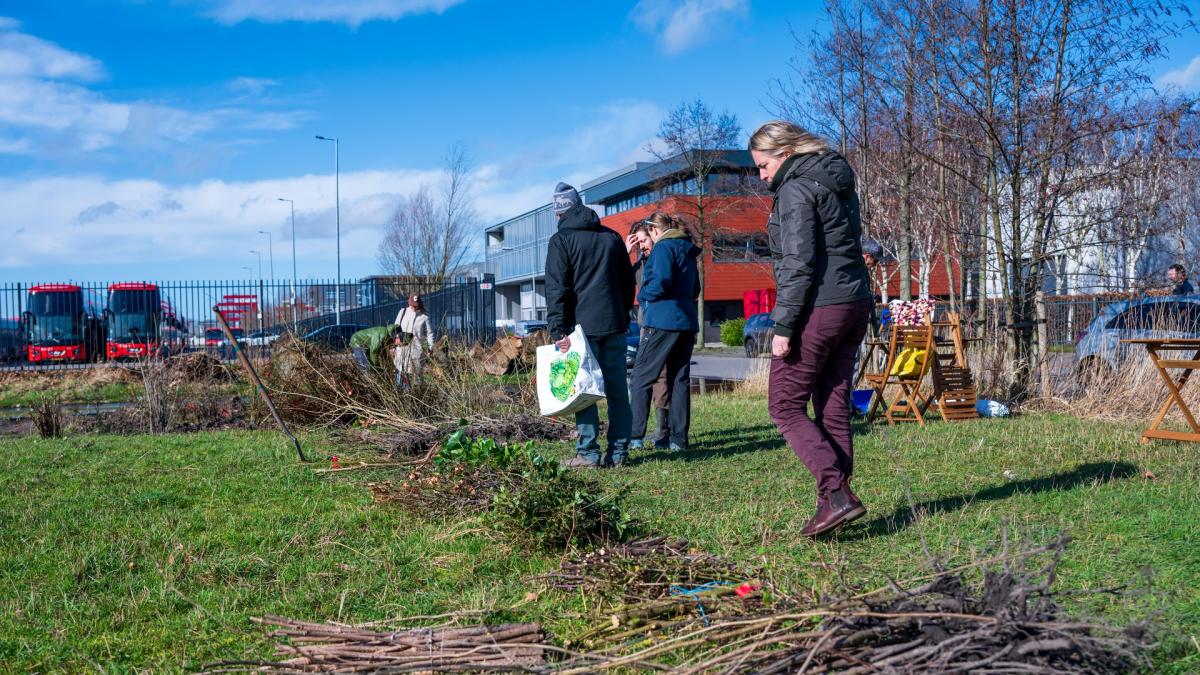 Gratis zaailingen uitzoeken in Haarlem: "Over een jaar is die spriet ...
