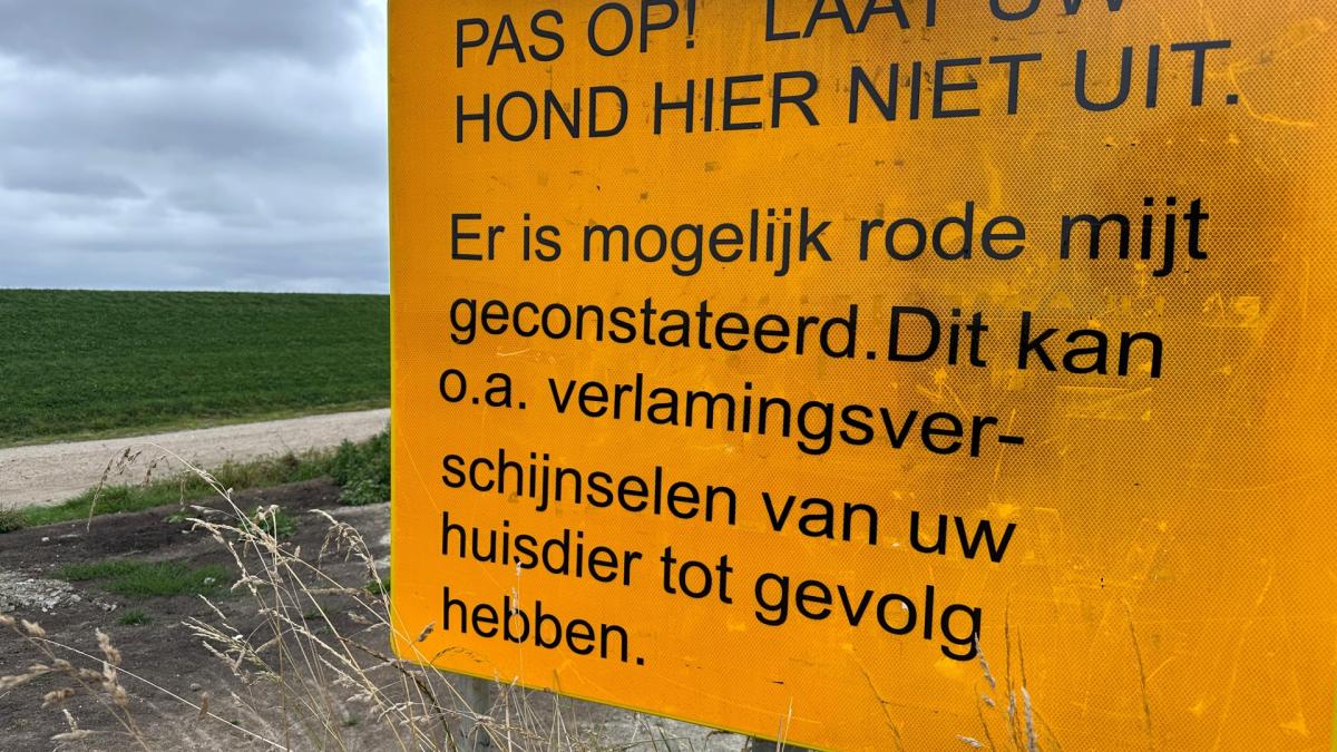 Hoe gevaarlijk is de oogstmijt voor dieren? 6 vragen over dit insect