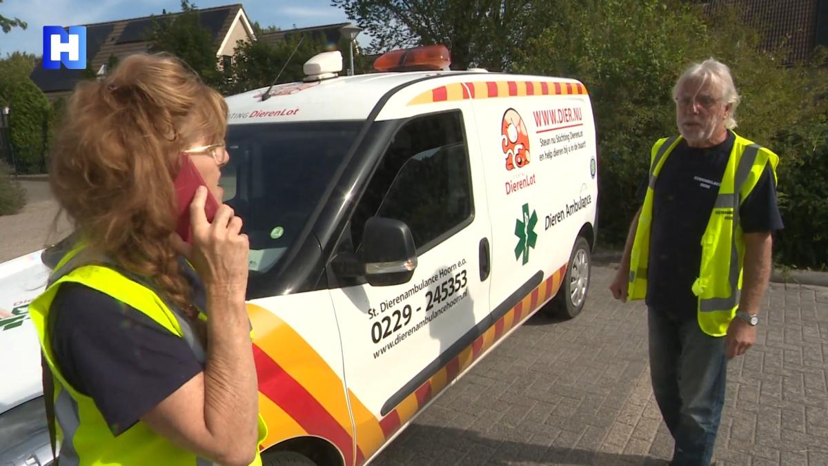 Zeventigers Henk en Nel zoeken collega's op de dierenambulance - NH Nieuws