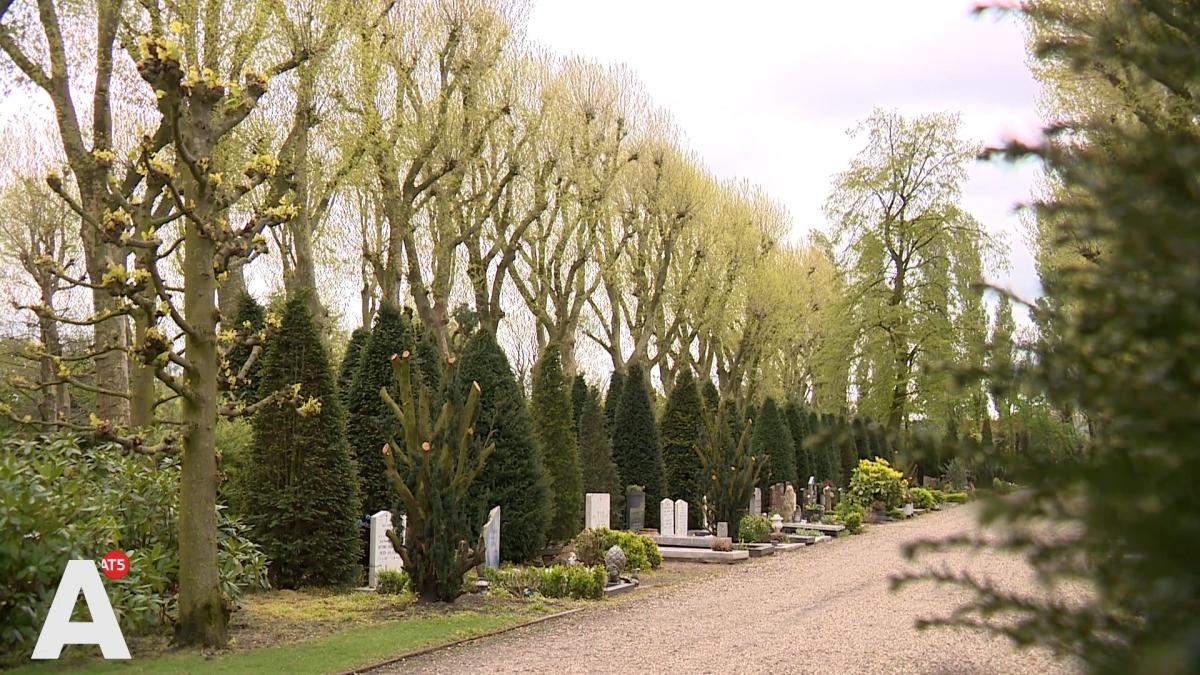 Rechercheurs komen na vele jaren achter identiteit van twee overleden mannen - NH Nieuws