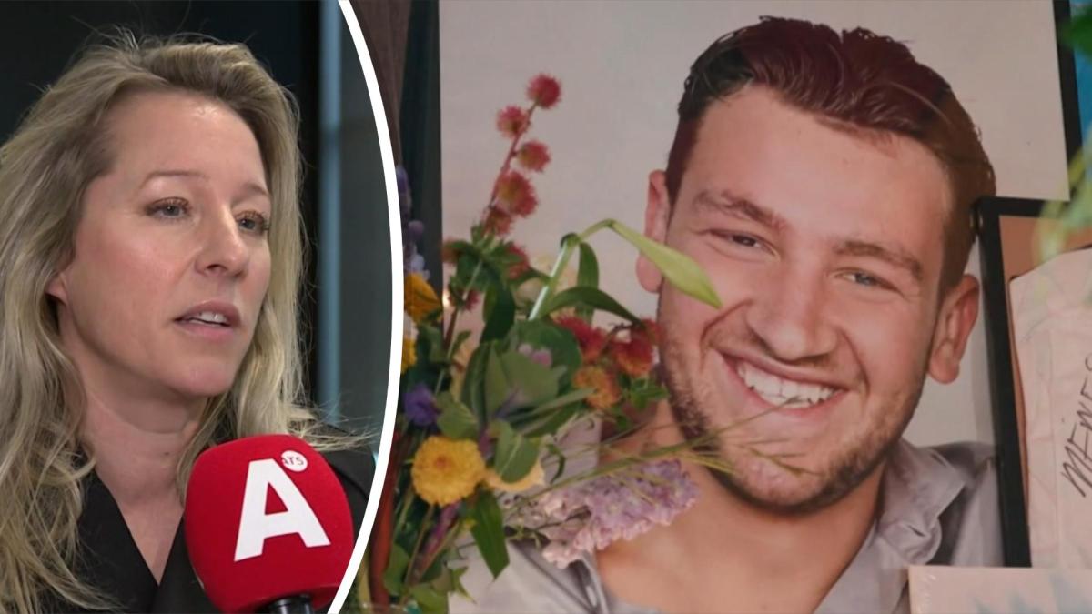 OM ziet 'wisselende verklaringen' bij verdachte dodelijke steekpartij ...