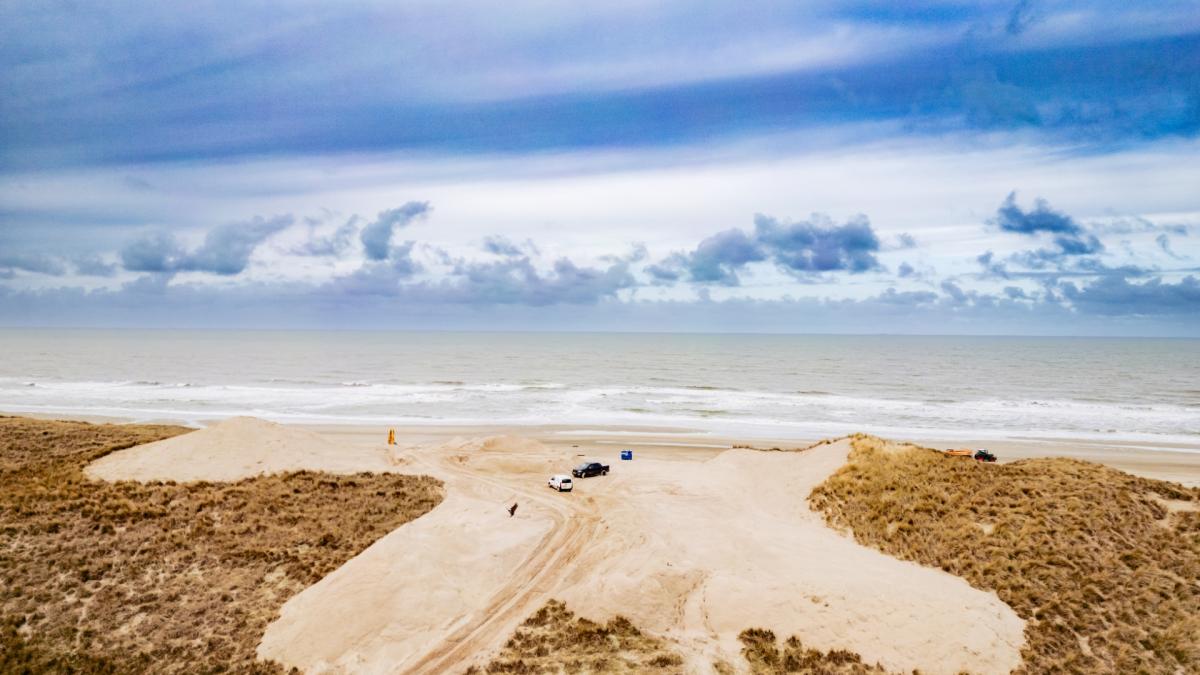 Hoe een gigantisch gat in de Texelse duinen de natuur juist helpt - Oozo.nl