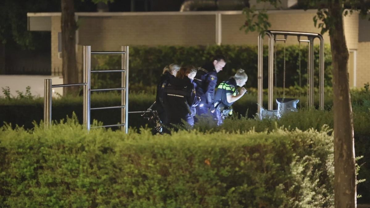 Meerdere wapens gevonden bij fouilleren: Zuidoost voorlopig ...