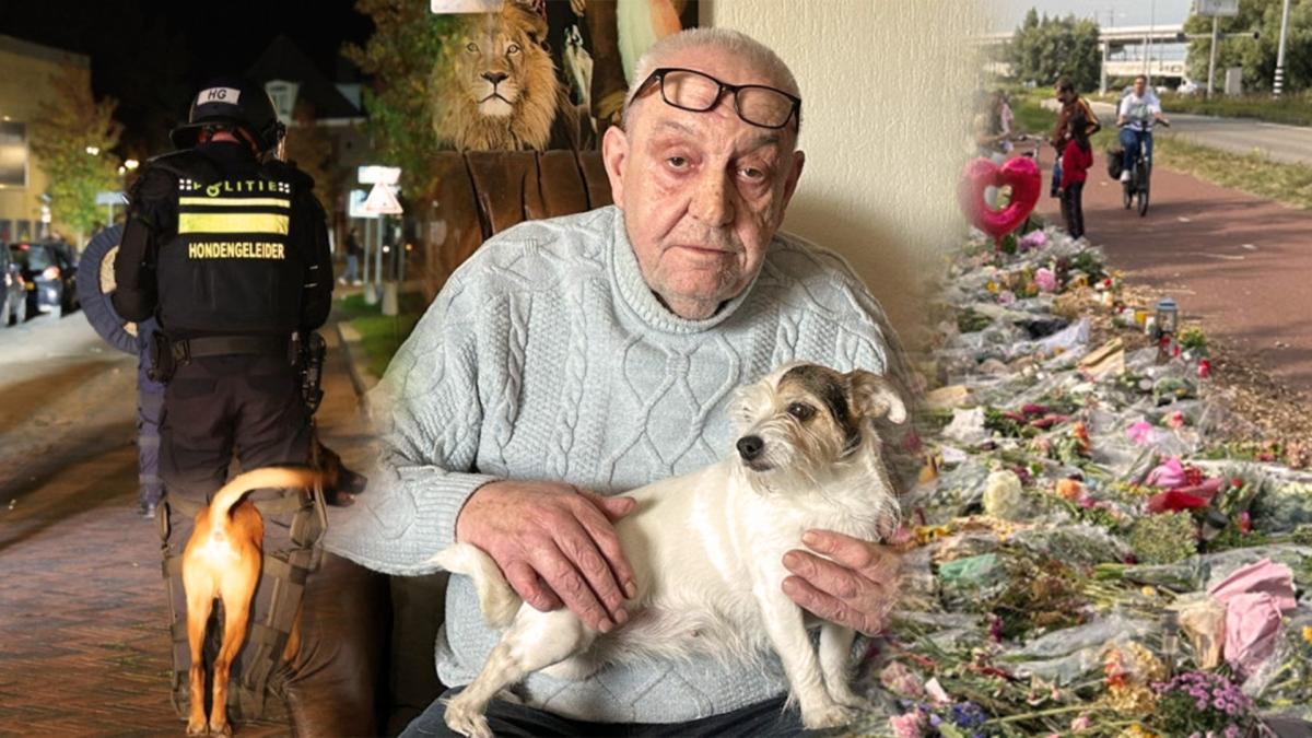 Het 2025 van Noord-Holland: 10 verhalen die je niet mag missen - NH Nieuws