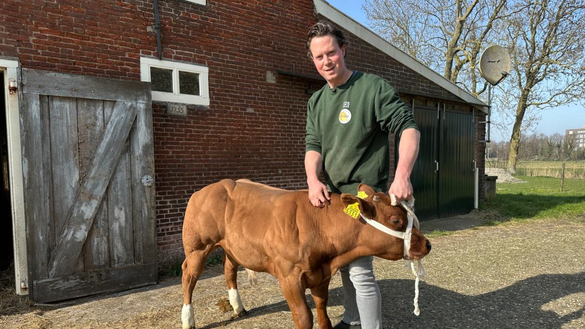 Veehouder Mark verheugt zich op Paasvee en neemt stier Ueda mee