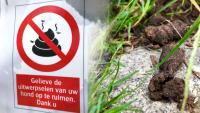 Poep aan de schoenen? Chauffeurs leerlingenvervoer Hilversum ergeren ...