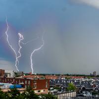 Streep door Julianapop door stormschade: hekken over het veld en ...