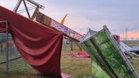 Streep door Julianapop door stormschade: hekken over het veld en ...