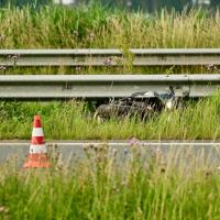 Vrouw wil spinnetje uit auto gooien, maar botst daardoor tegen boom